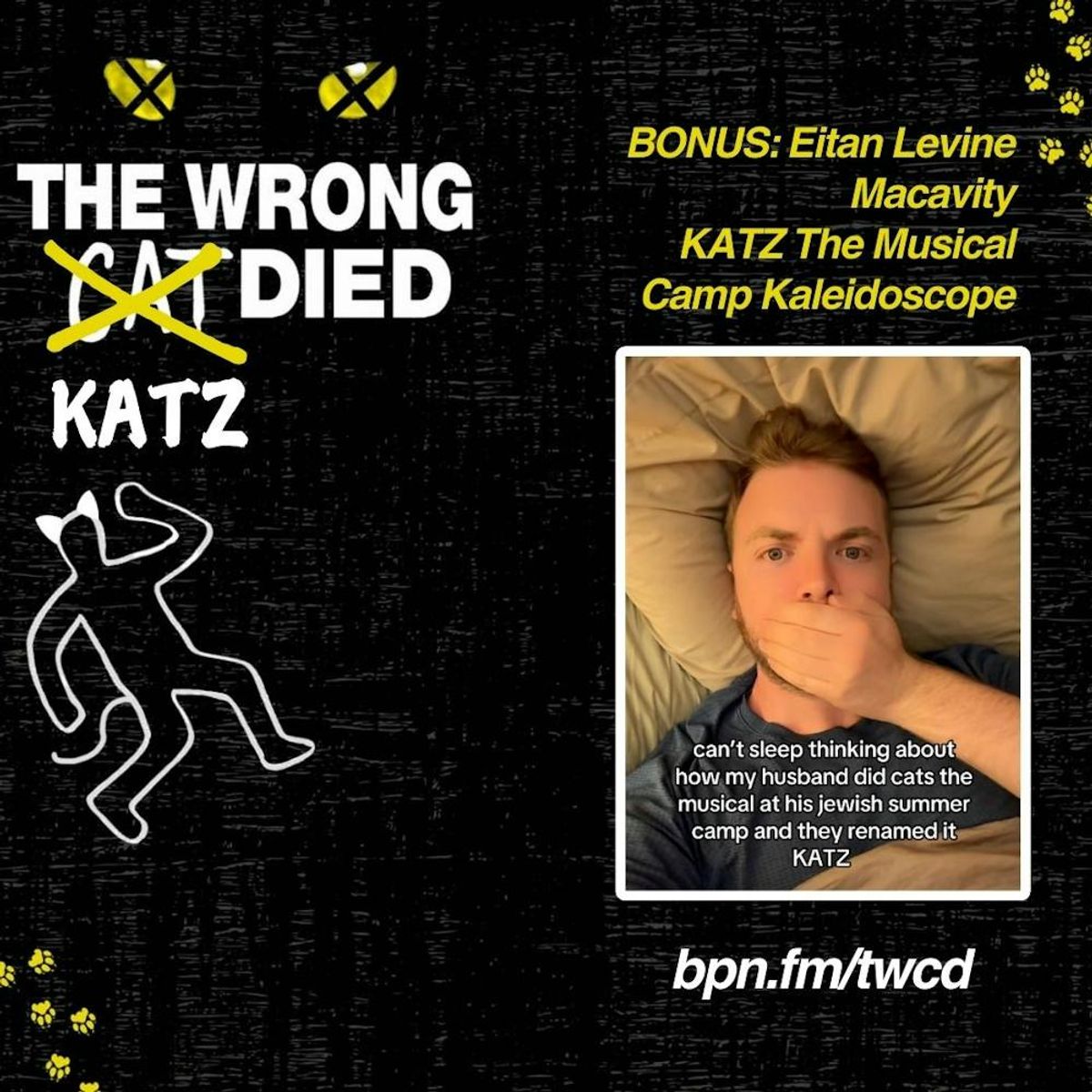 Broadway Podcast Network - BONUS - Eitan Levine, Macavity in Katz The Musical at Camp Kaleidoscope